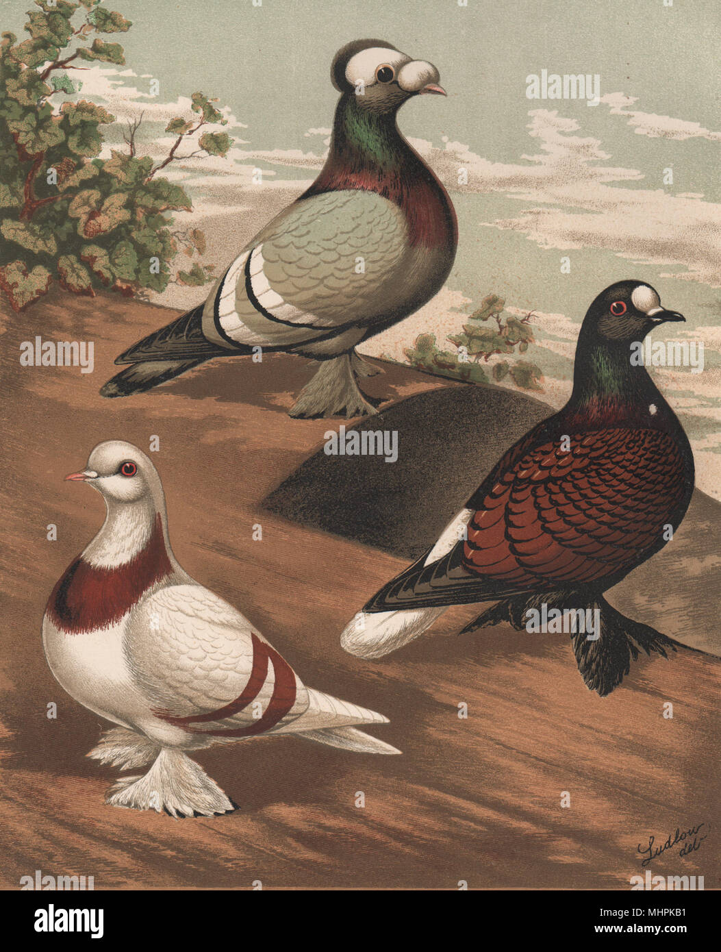 Fire paintings hi-res stock photography and images - Alamy