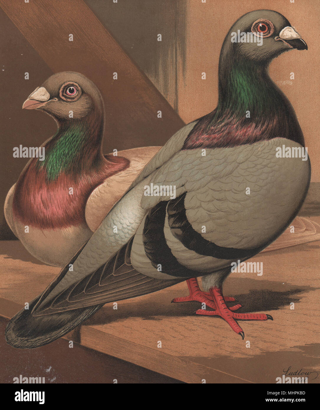 Silver lithography hi-res stock photography and images - Alamy