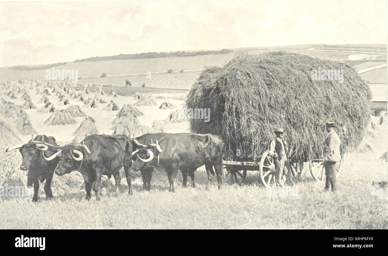 Old farming cart hi-res stock photography and images - Alamy