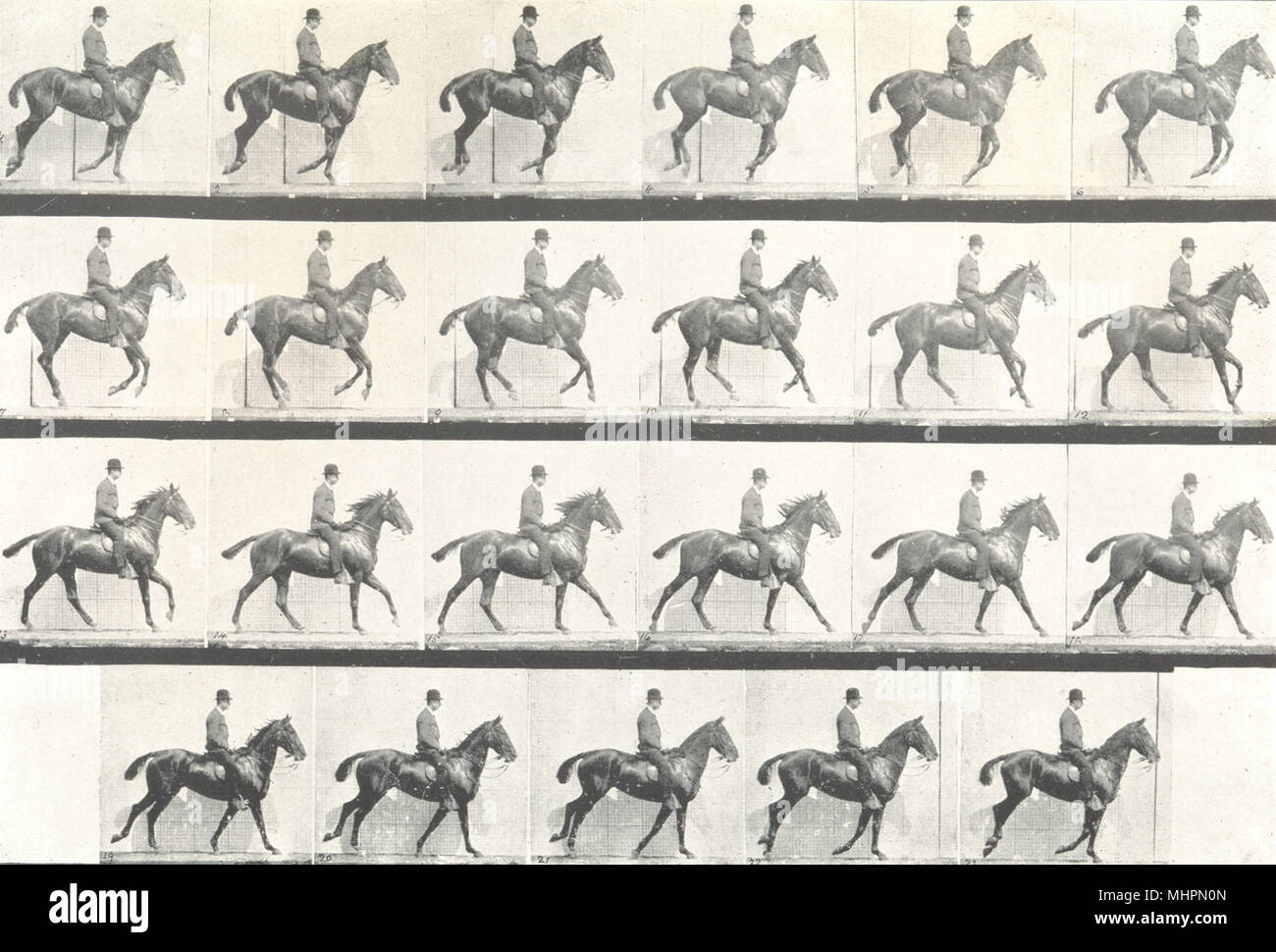 HORSES. The Canter 1912 old antique vintage print picture Stock Photo ...