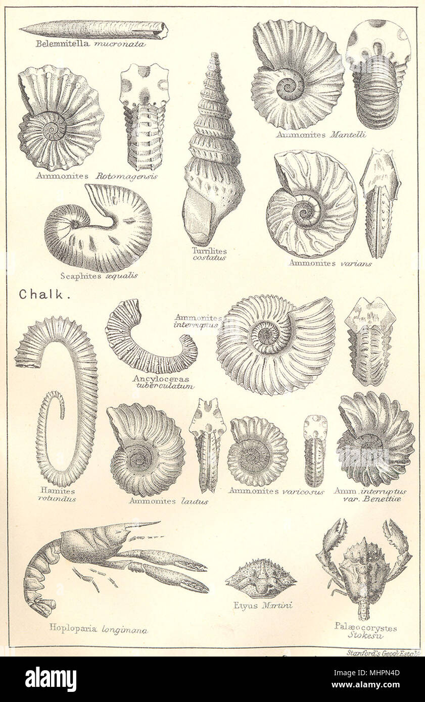 Upper greensand hi-res stock photography and images - Alamy