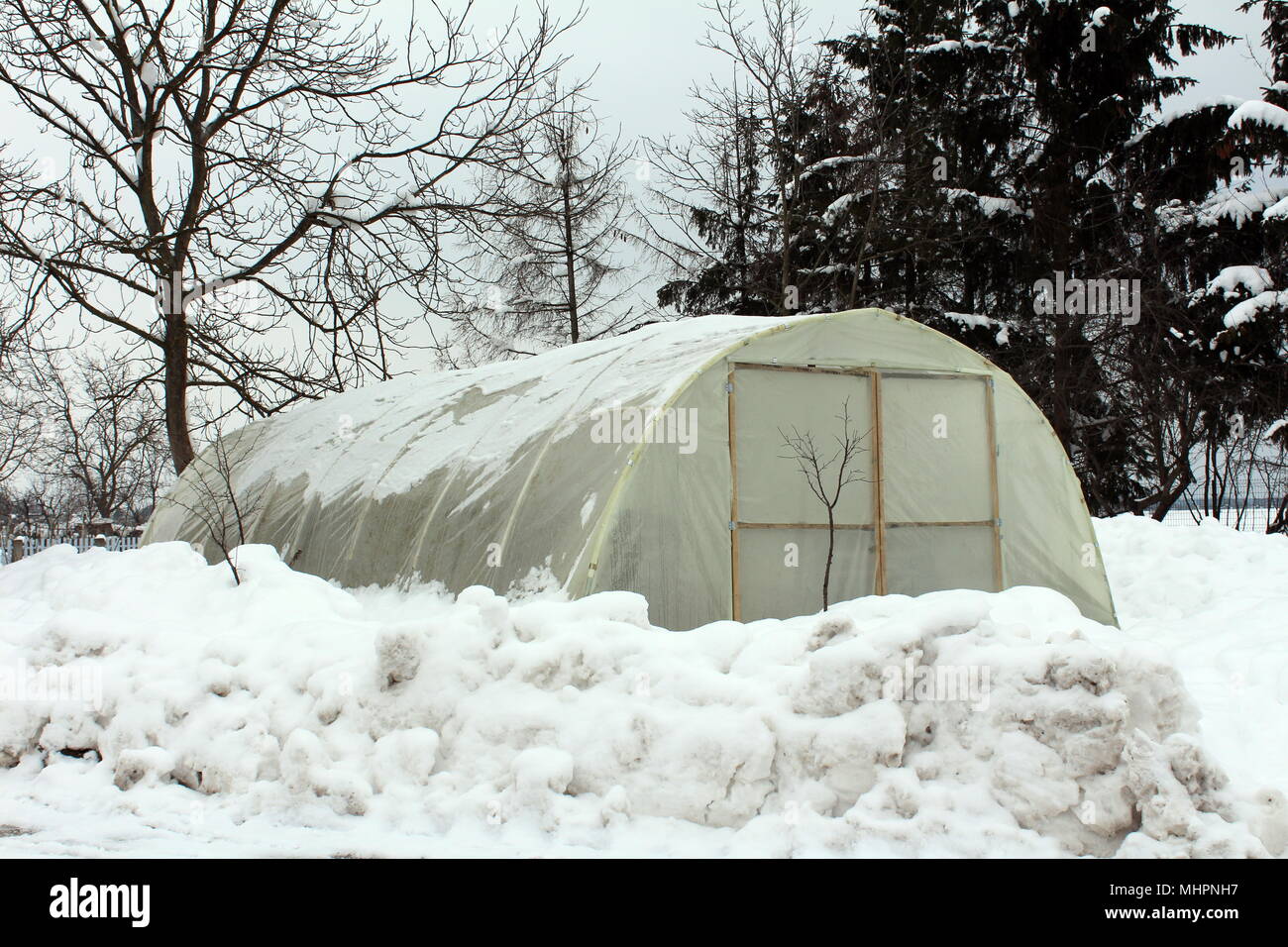 Plastic greenhouse with large wooden doors surrounded with fallen snow ...