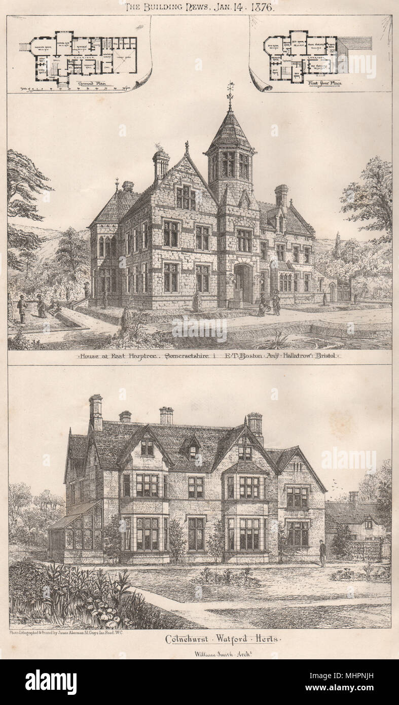 Harptree hi-res stock photography and images - Alamy