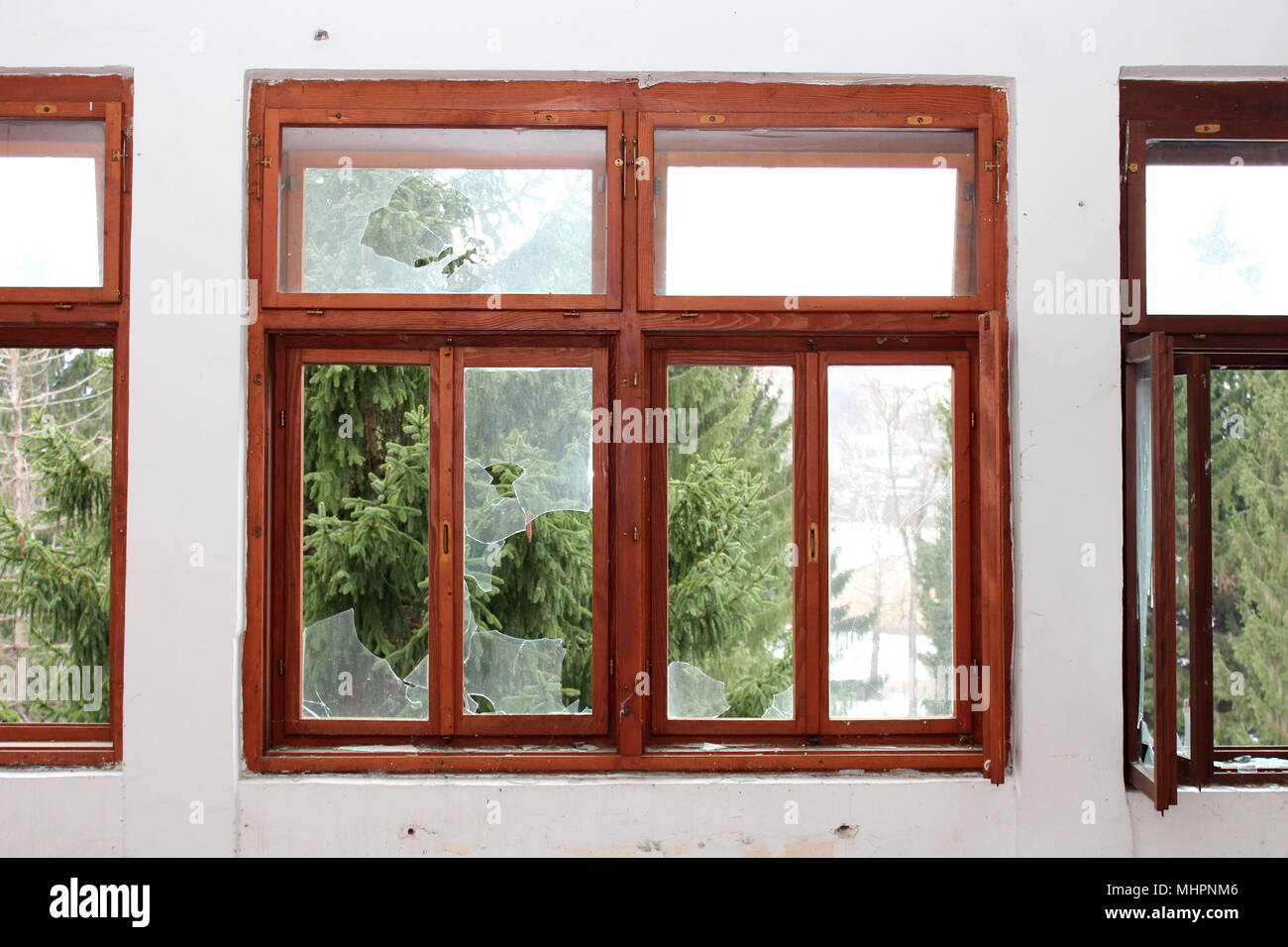 Renovated wooden window frame with broken glass and tall pine trees in ...