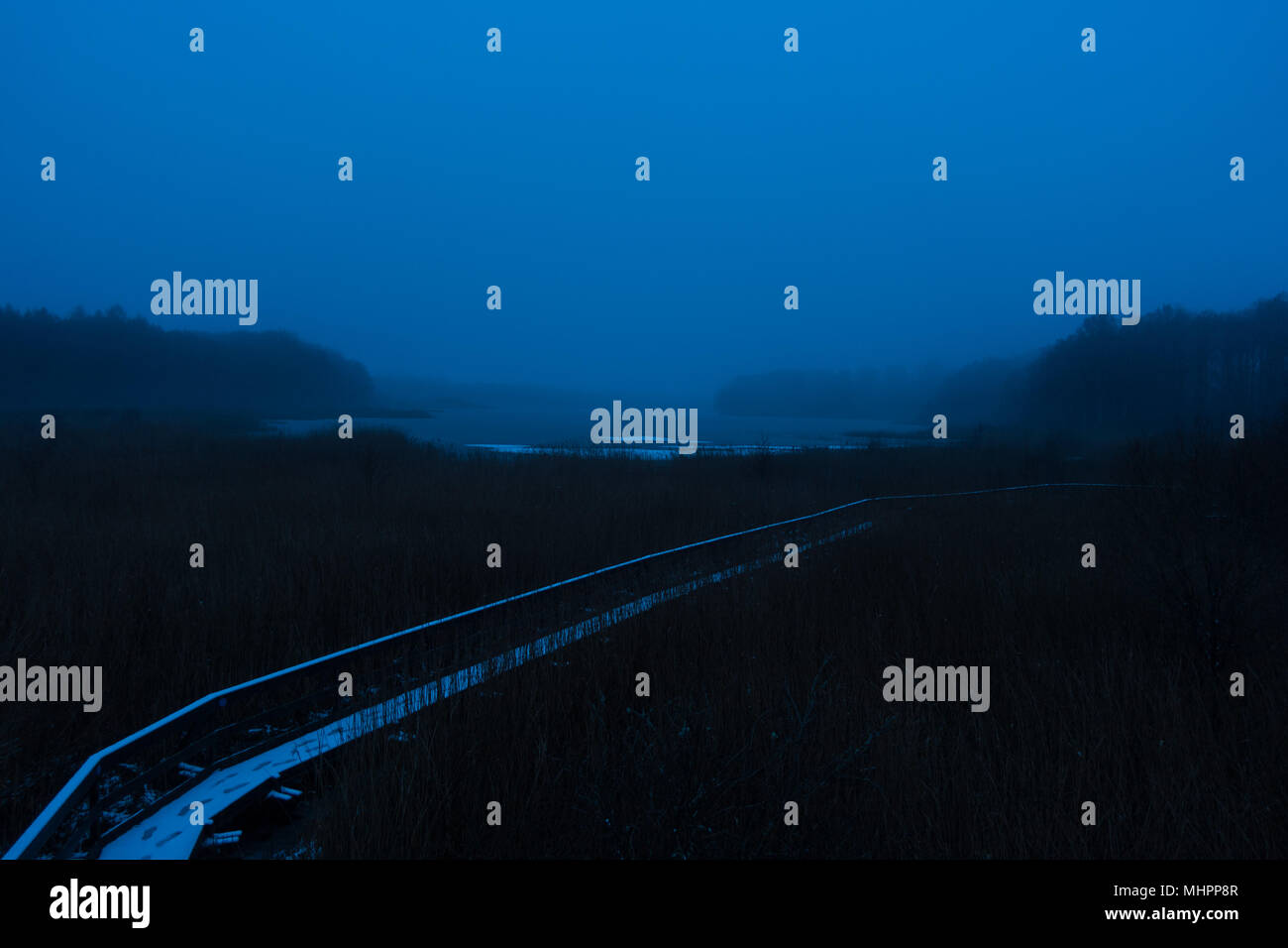 Misty path night hi-res stock photography and images - Alamy