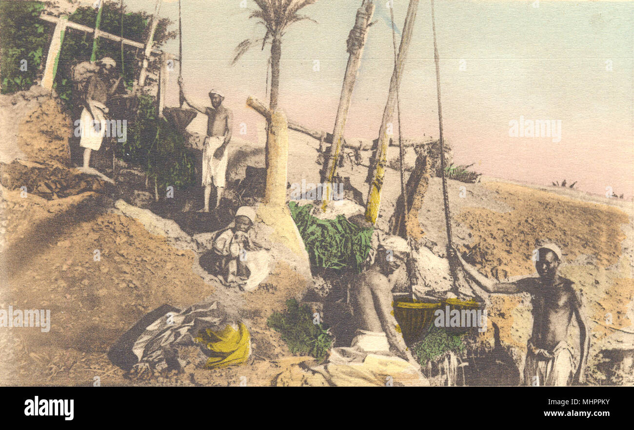 EGYPT. Shadoufs. Hand coloured. 1900 old antique vintage print picture ...
