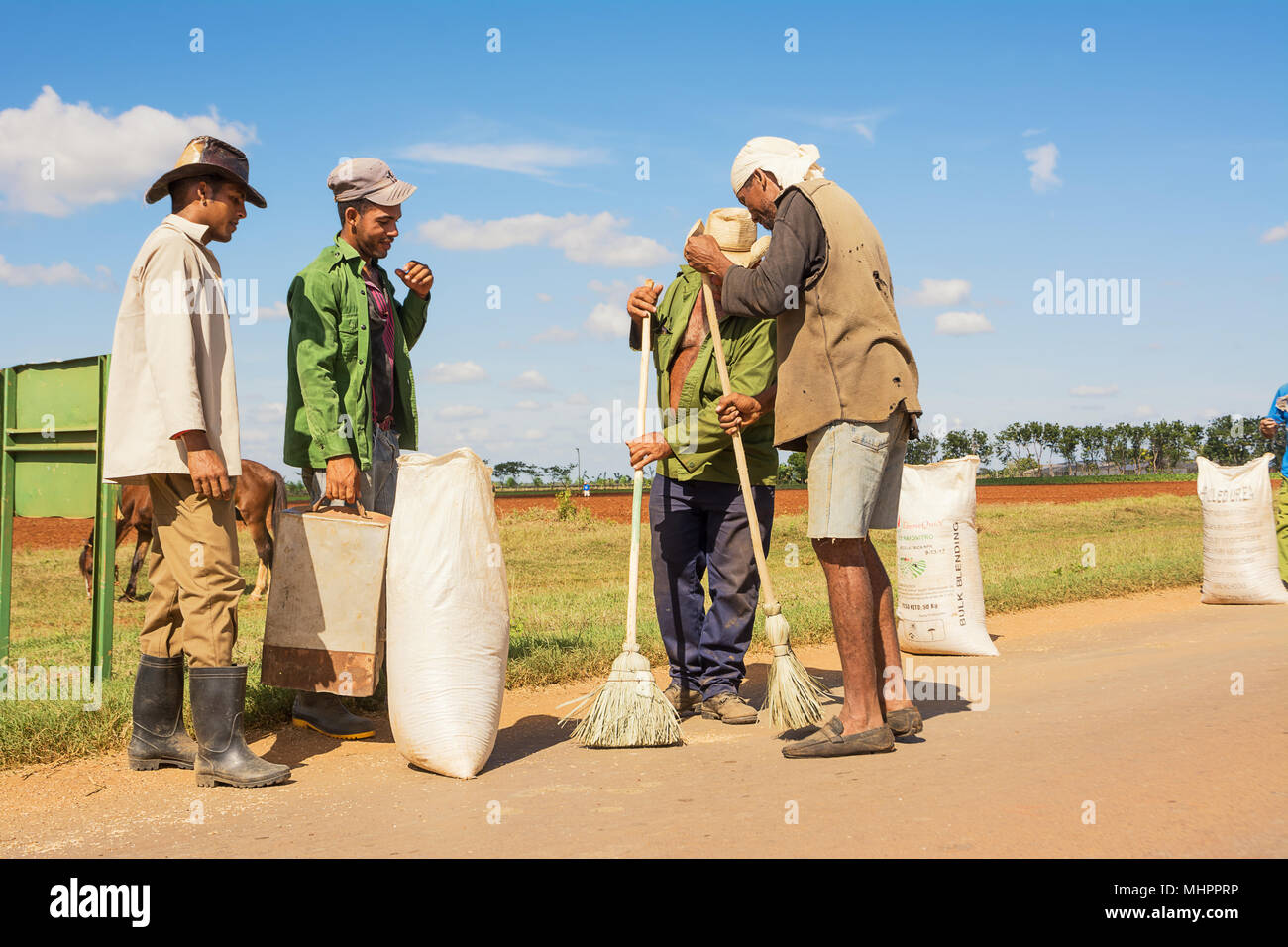 Rice drying hi-res stock photography and images - Alamy