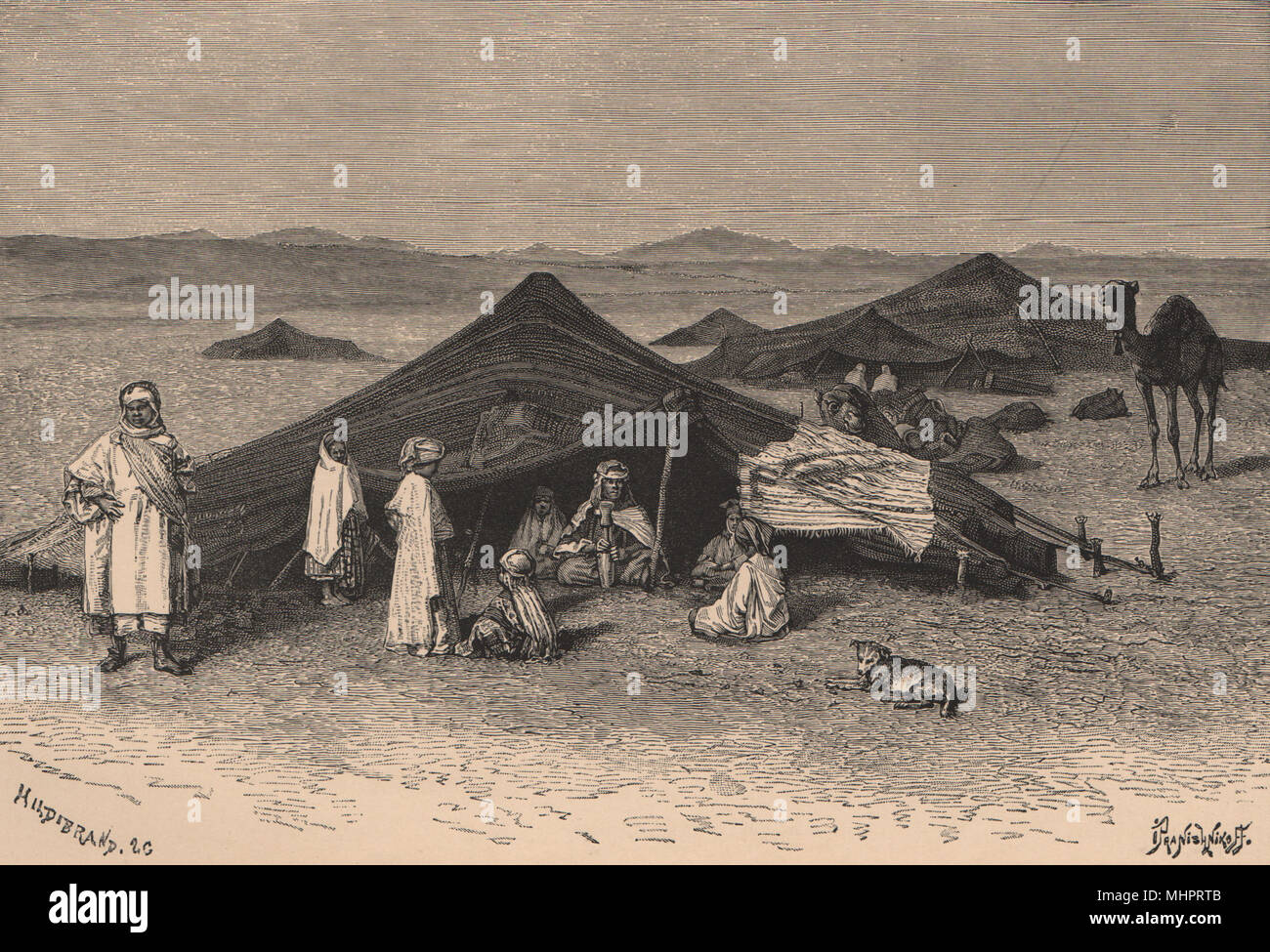 Saharan landscape. Nomad encampment. Algeria 1885 old antique print ...