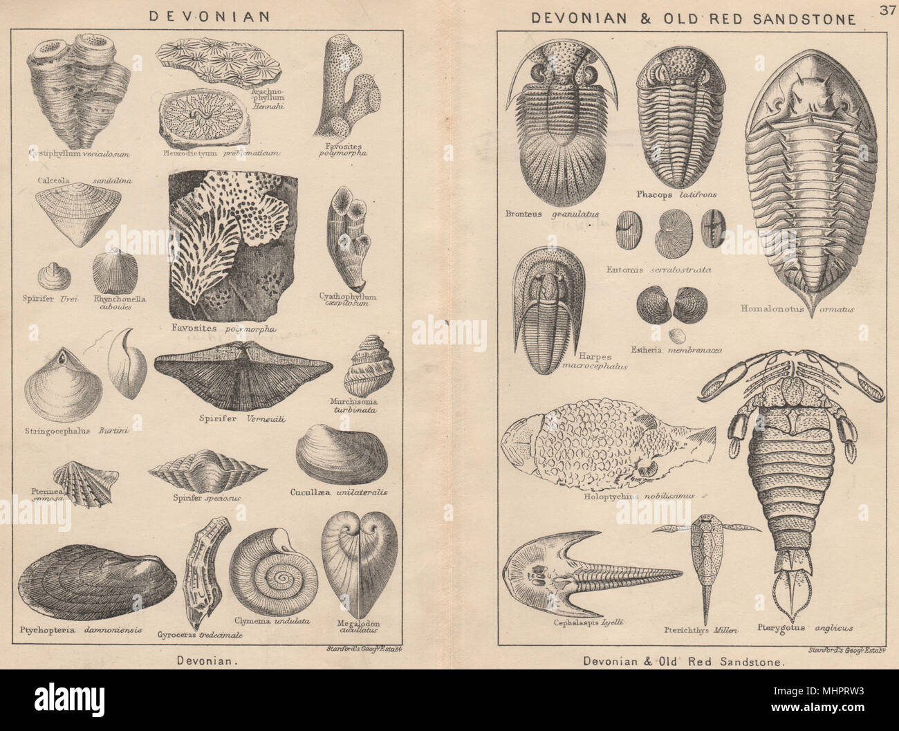 Old red sandstone ireland hi-res stock photography and images - Alamy