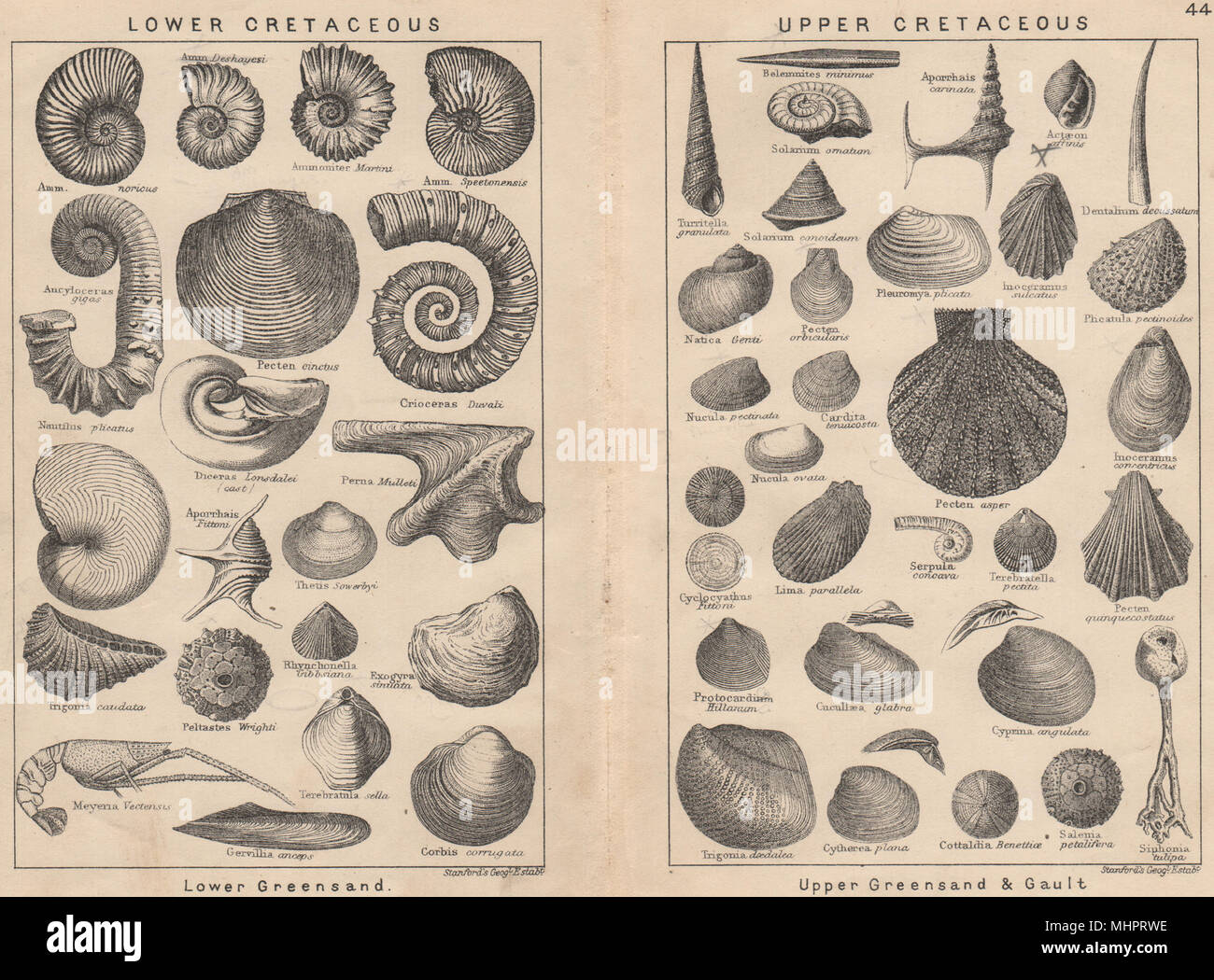 Lower cretaceous hi-res stock photography and images - Alamy