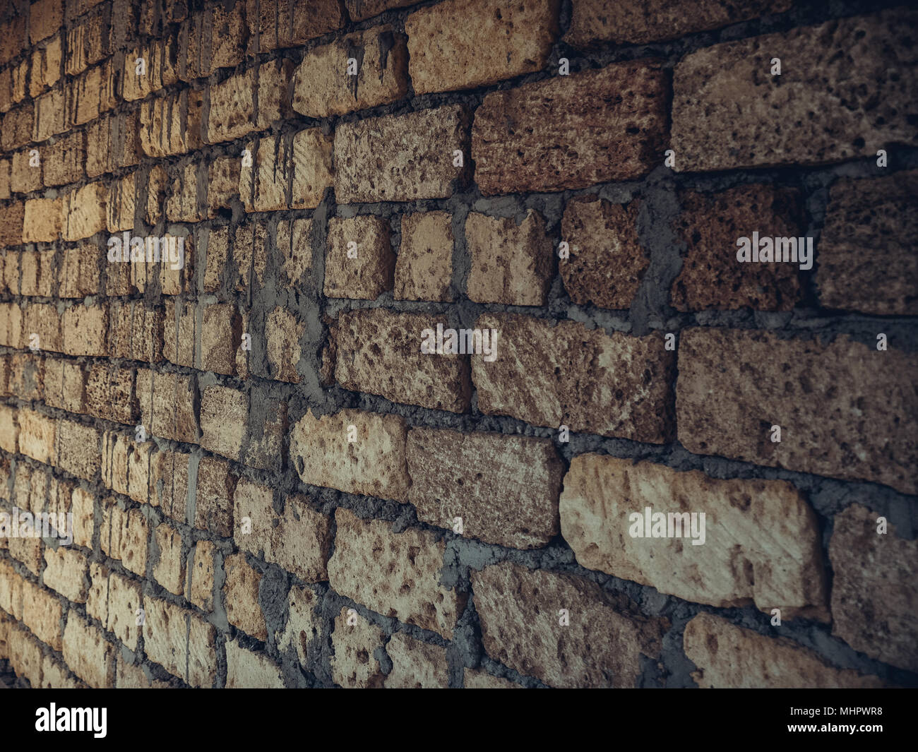 Stone wall of the shell Stock Photo - Alamy