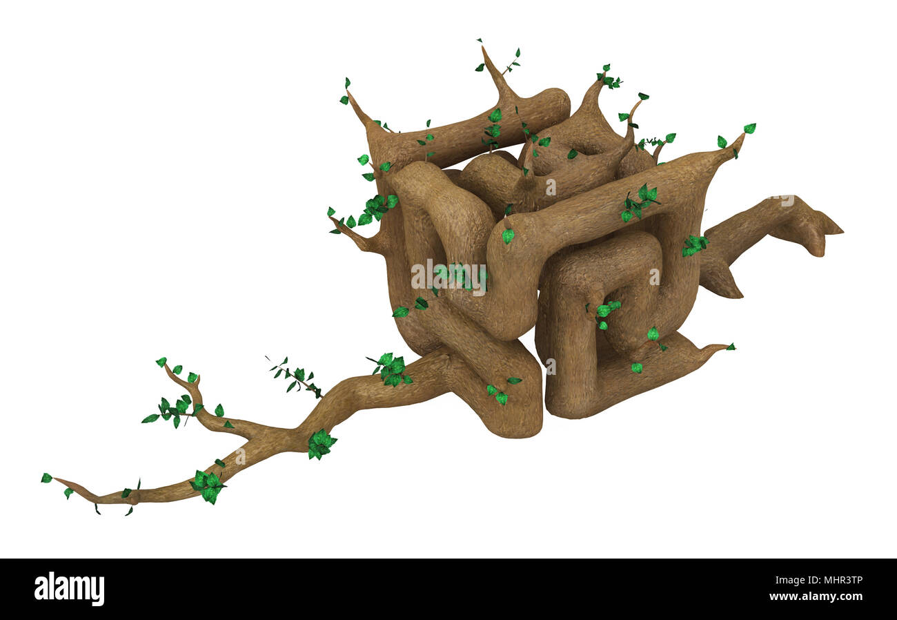 Tangled white plant Cut Out Stock Images & Pictures - Alamy