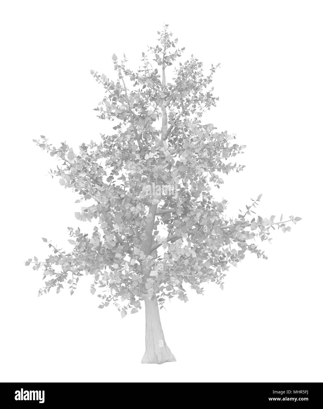 Simple tree 3d model, over white, isolated Stock Photo - Alamy