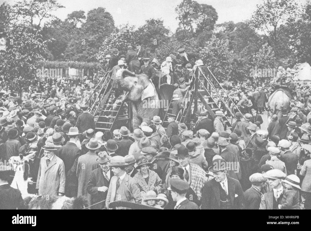 Vintage zoo hi-res stock photography and images - Alamy