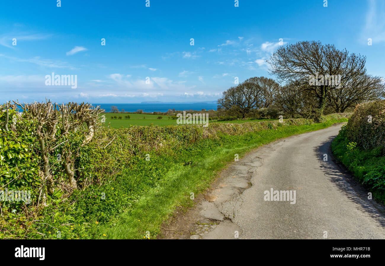 Welsh lanes hi-res stock photography and images - Alamy