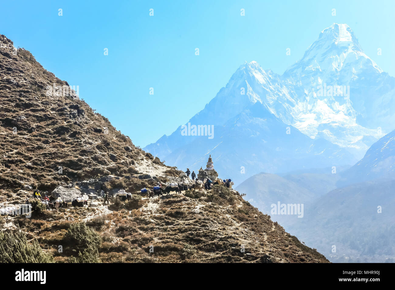 Trek to mt everest base camp hi-res stock photography and images - Alamy