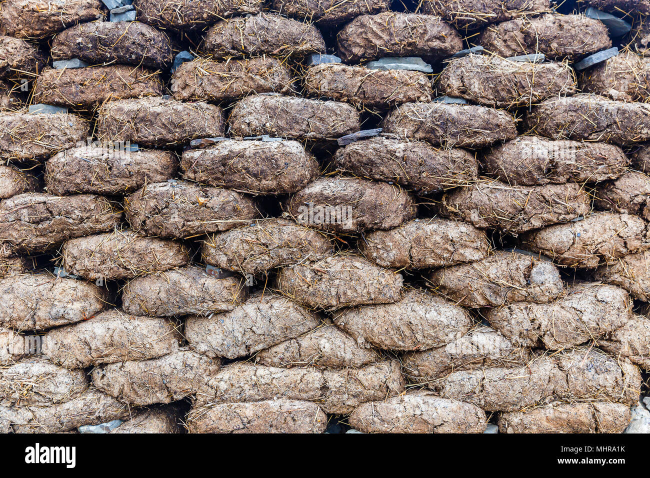Bricks made of manure and hay for heating houses in the mountains Stock ...