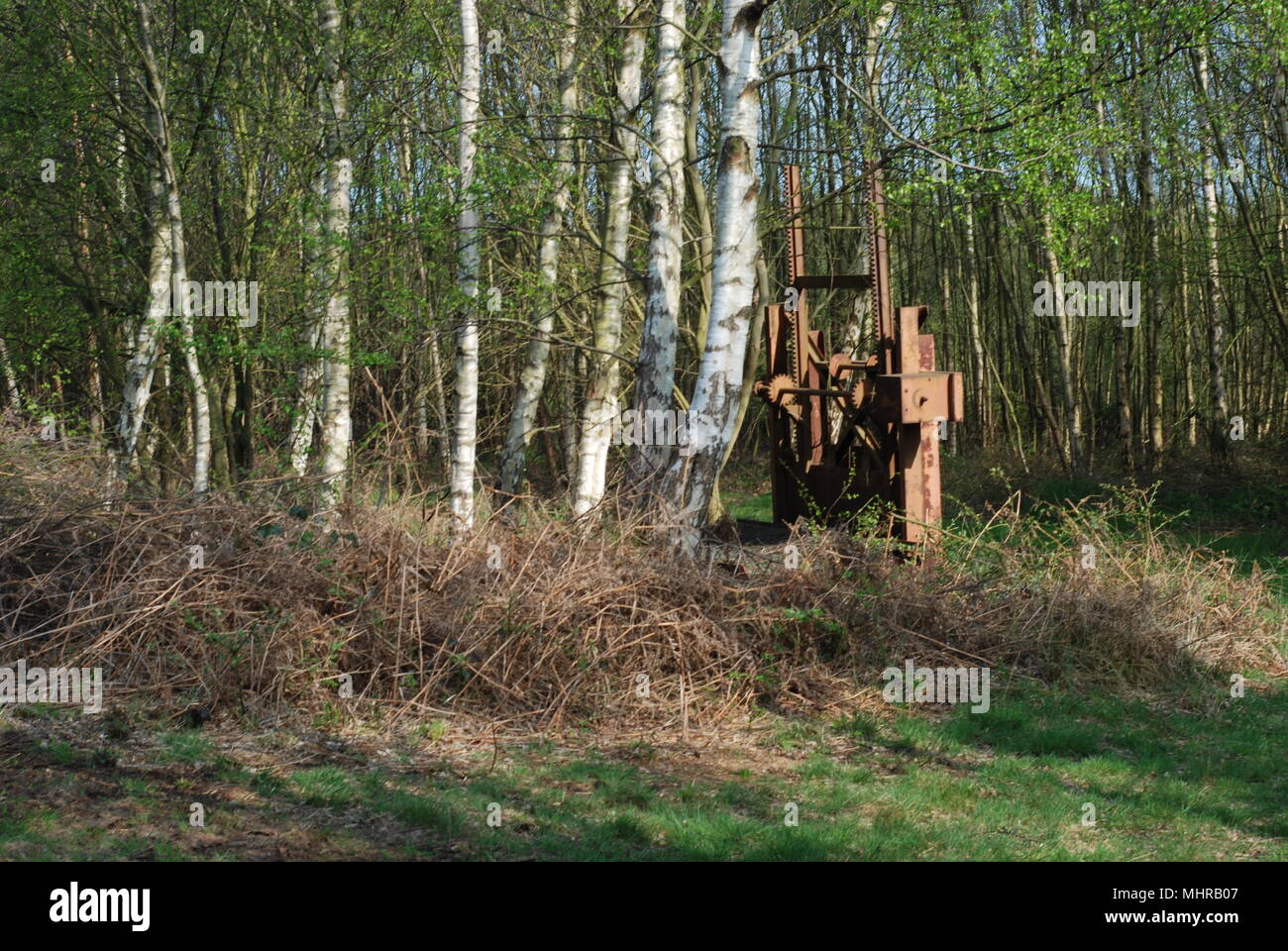 Hatfield moors hi-res stock photography and images - Alamy