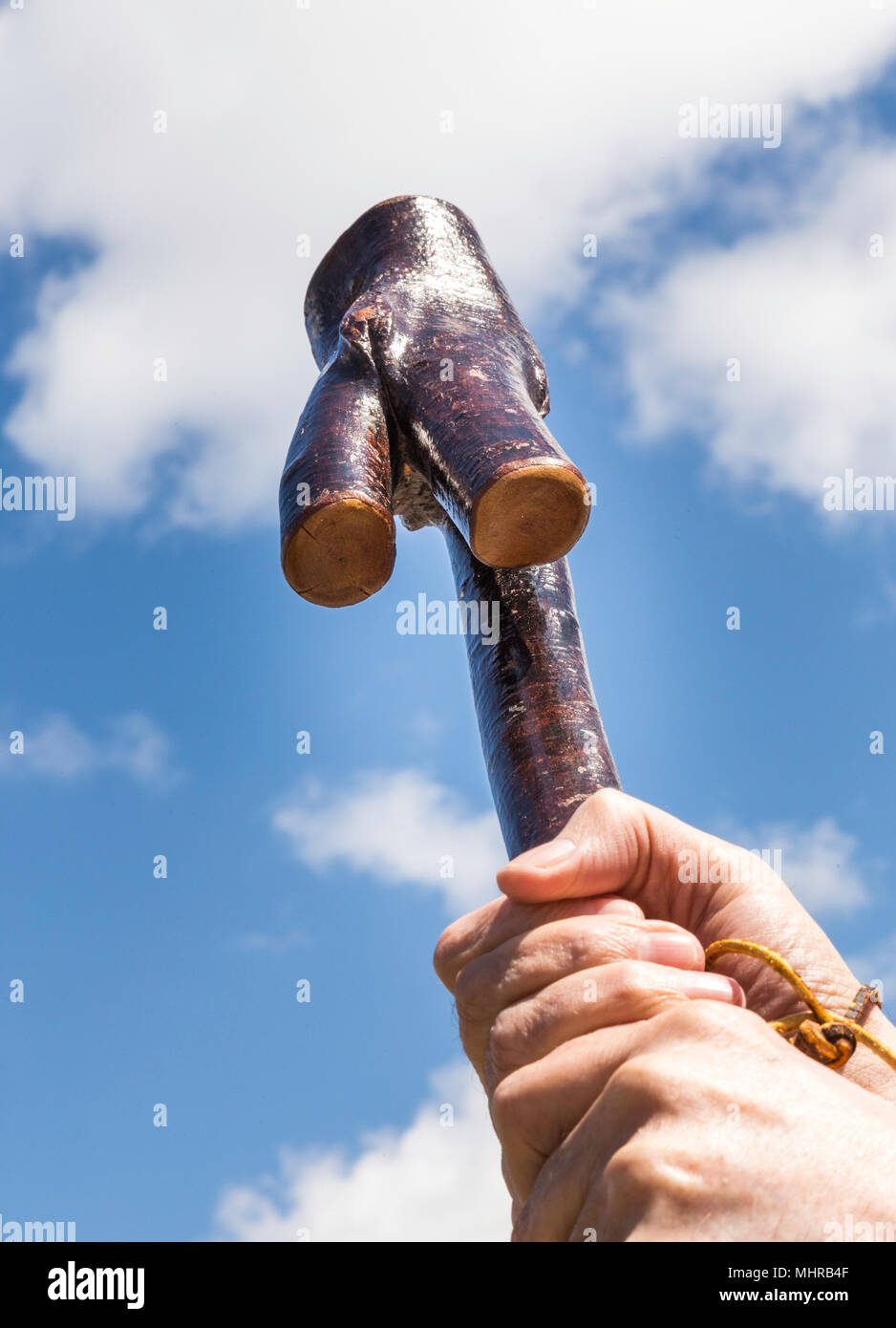Male Hand Wielding a Shillelagh Stock Photo - Alamy