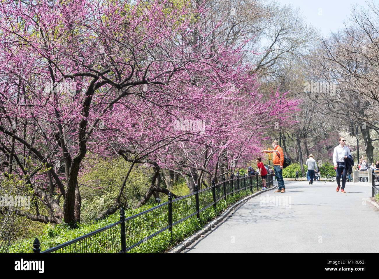 Enjoying time with his son hi-res stock photography and images - Alamy