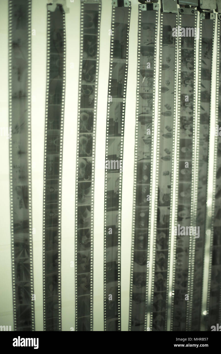 35mm analog black and white photography film negatives drying after ...