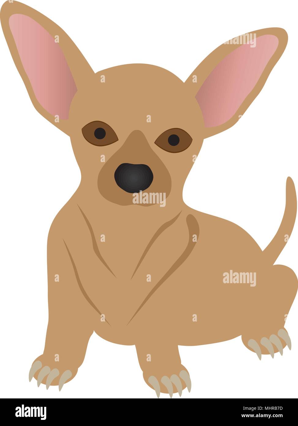 Purebred chihuahua Stock Vector Images - Alamy