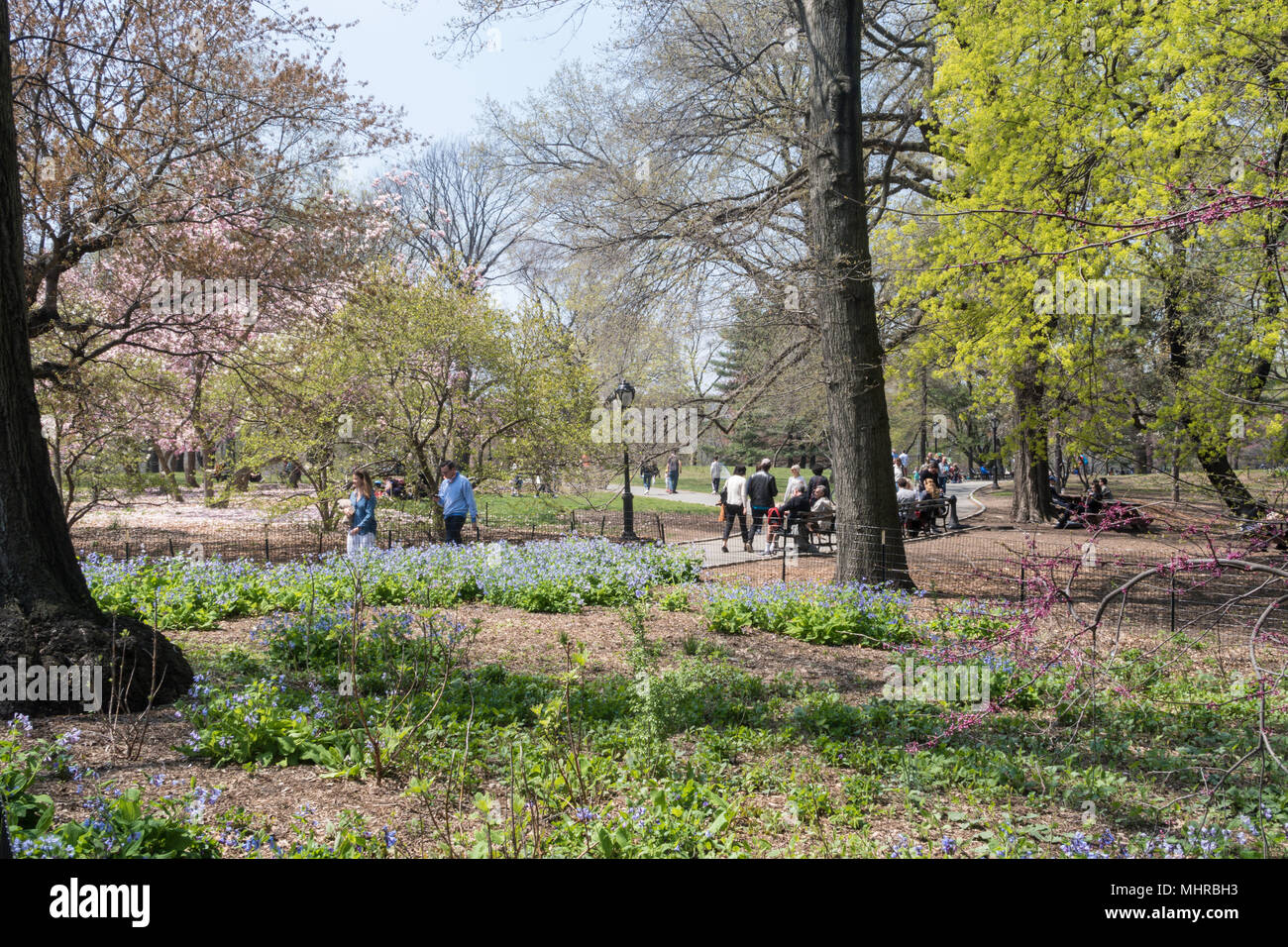 Central park paths hi-res stock photography and images - Alamy