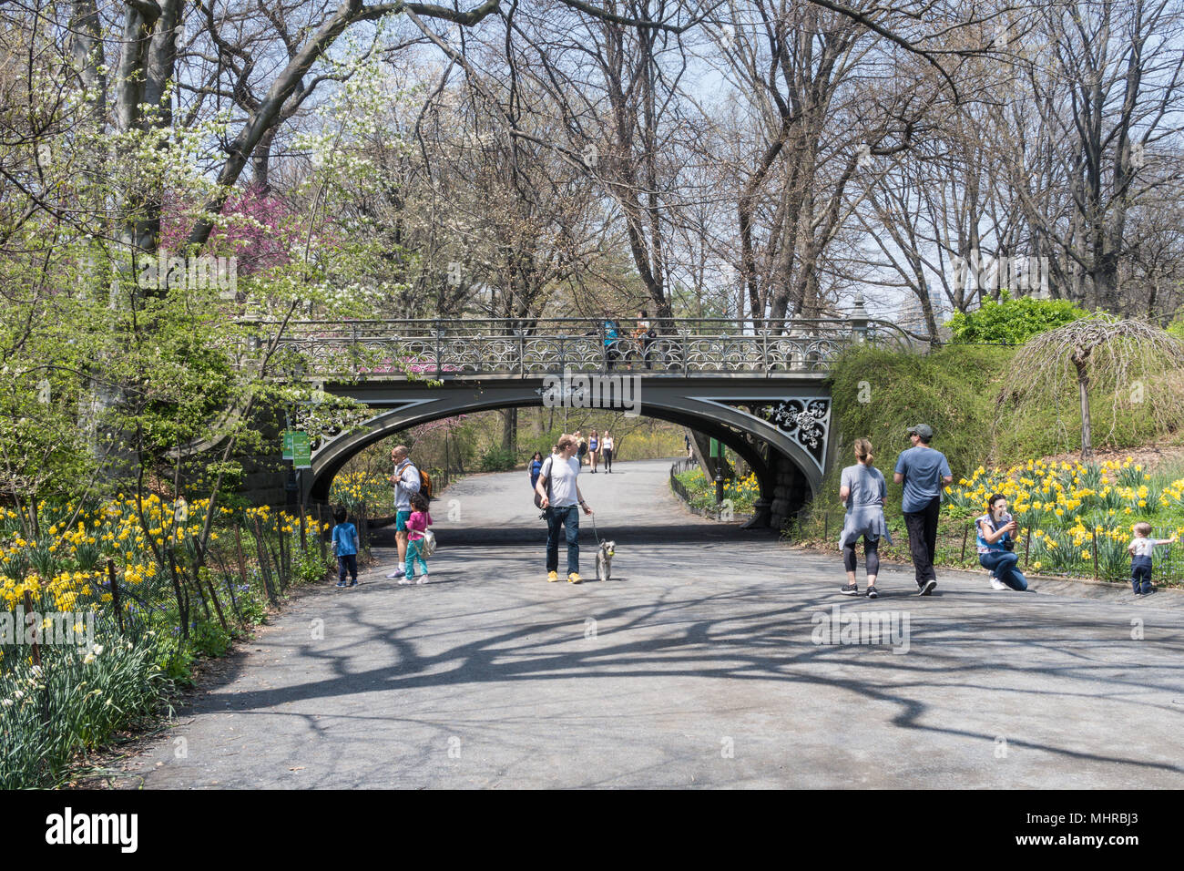 Arched Cast Iron Bridge High Resolution Stock Photography and Images ...