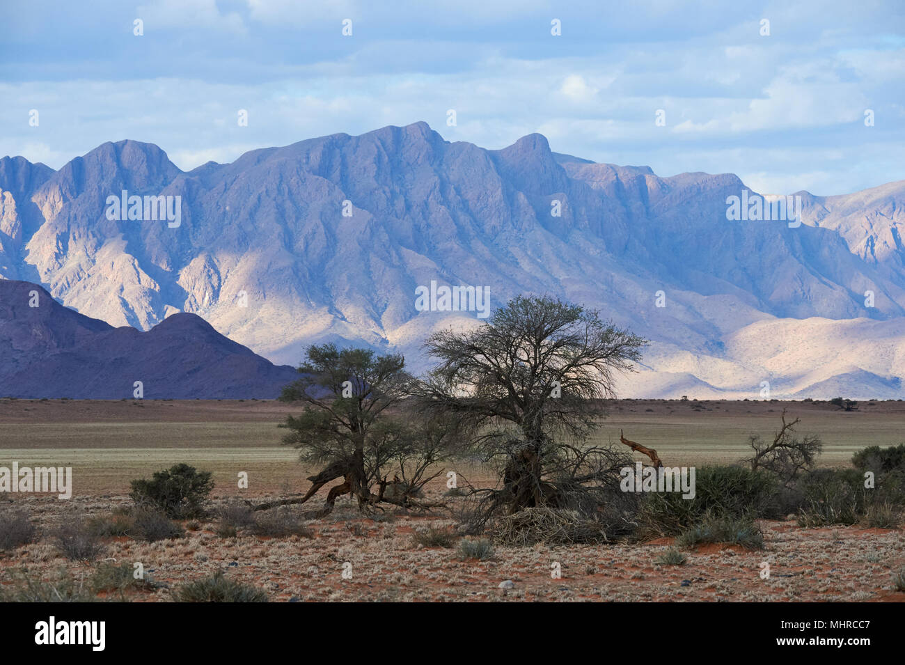 Namibia landscape hi-res stock photography and images - Alamy