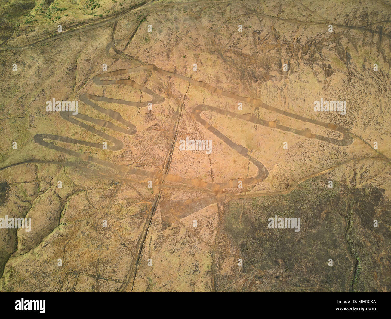 Land environment hi-res stock photography and images - Alamy