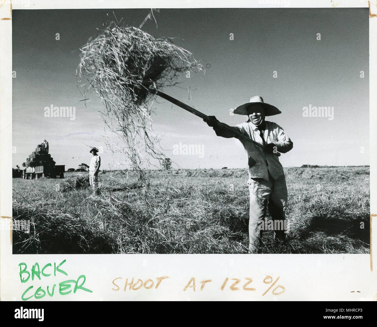 Snapshot of field workers Stock Photo - Alamy