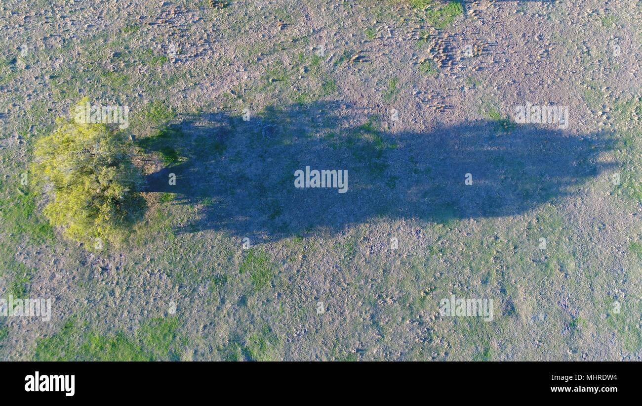 Aerial photo over fir hi-res stock photography and images - Alamy