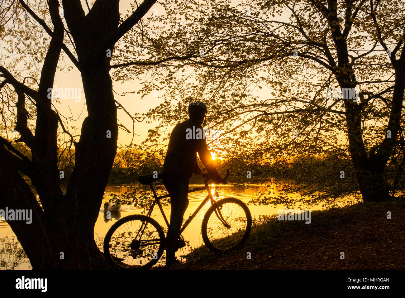 Billingham, north east England, UK. 3rd May, 2018. Weather: A glorious ...