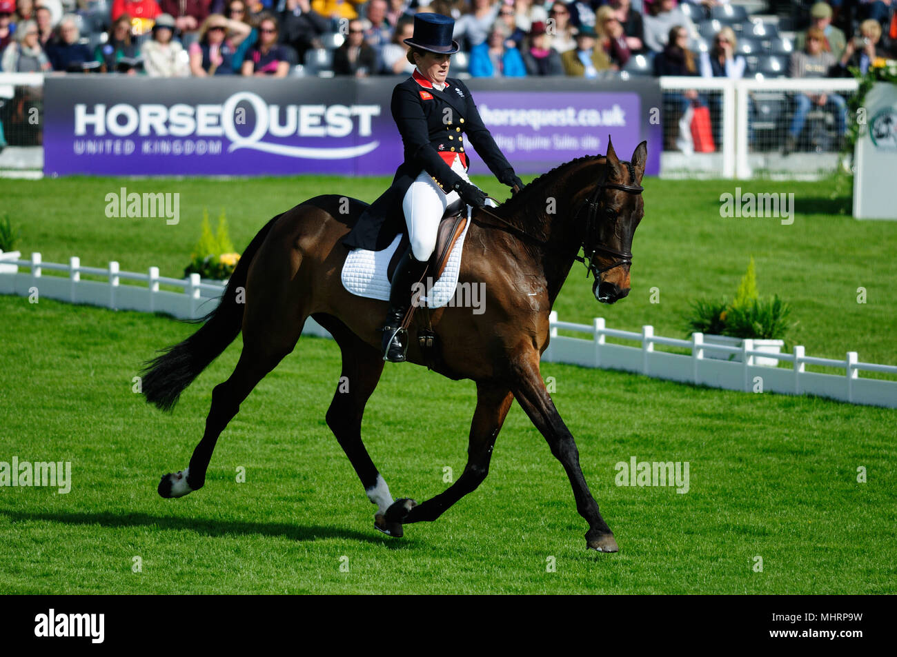 Rider pippa funnell hi-res stock photography and images - Alamy