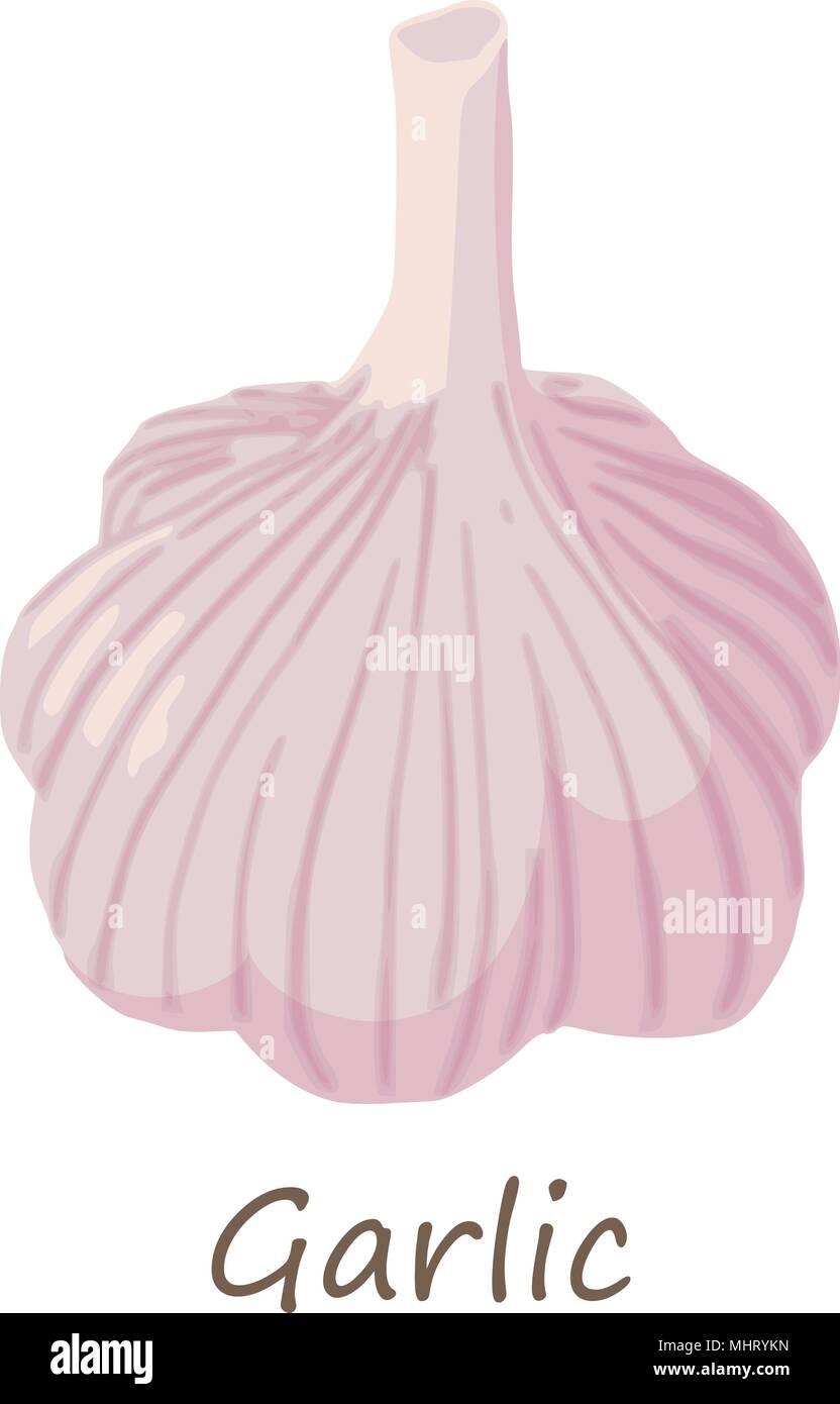 Garlic icon, isometric style Stock Vector Image & Art - Alamy