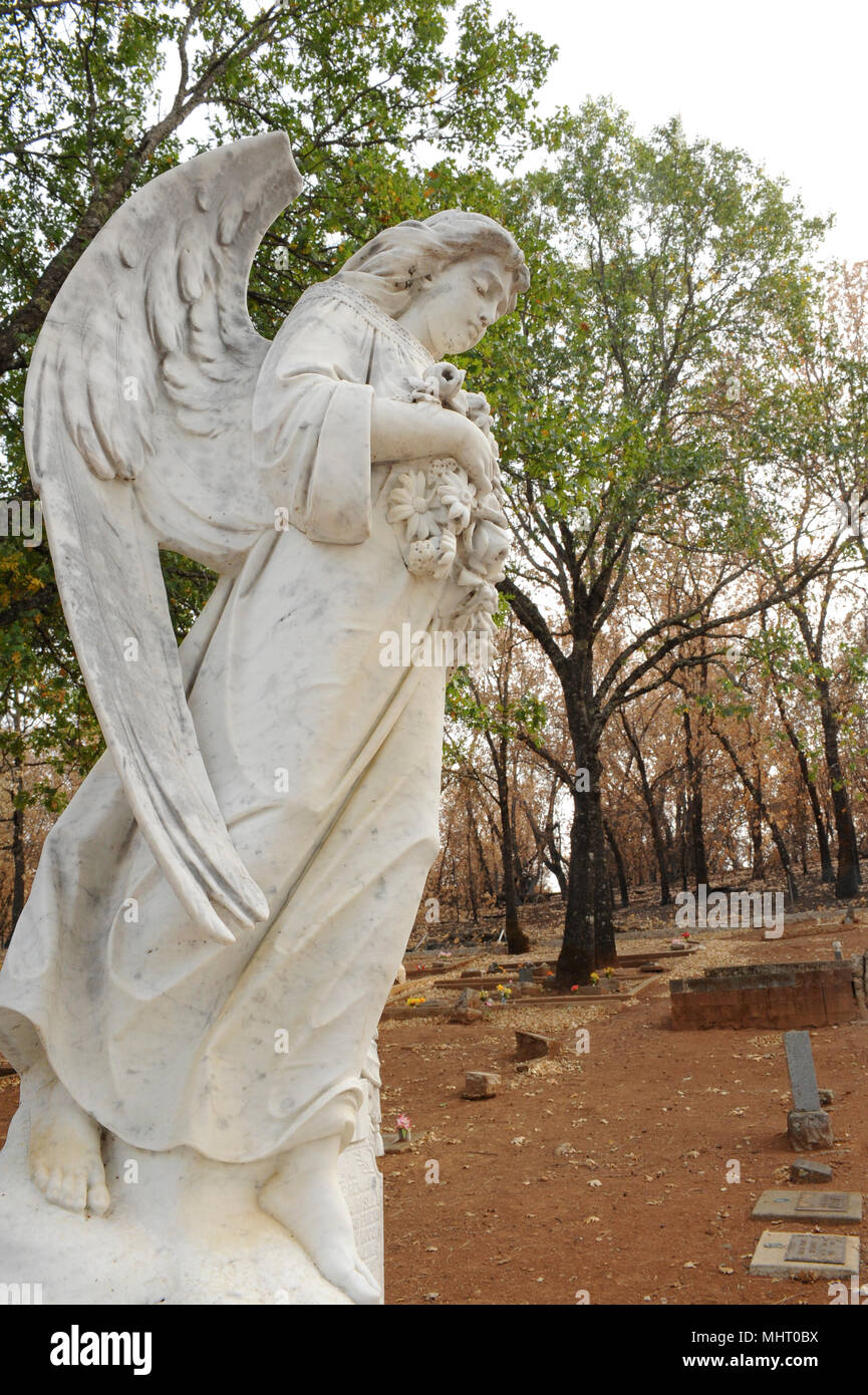 A burned graveyard after the Valley Fire during the 2015 California ...