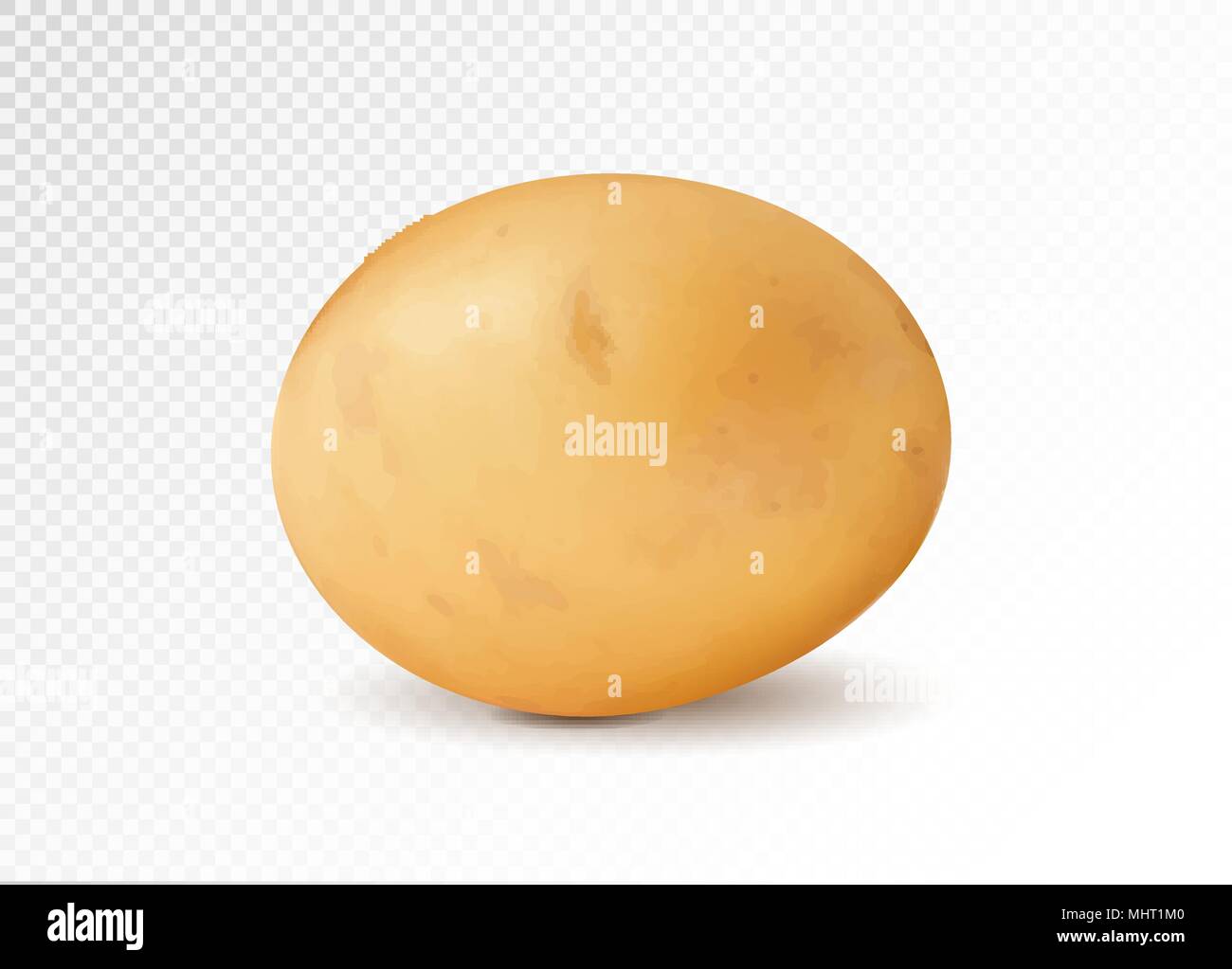 Realistic potato, 3d vector illustration Stock Vector Image & Art - Alamy