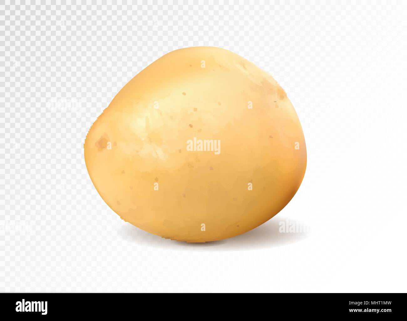 Realistic potato, 3d vector illustration Stock Vector Image & Art - Alamy