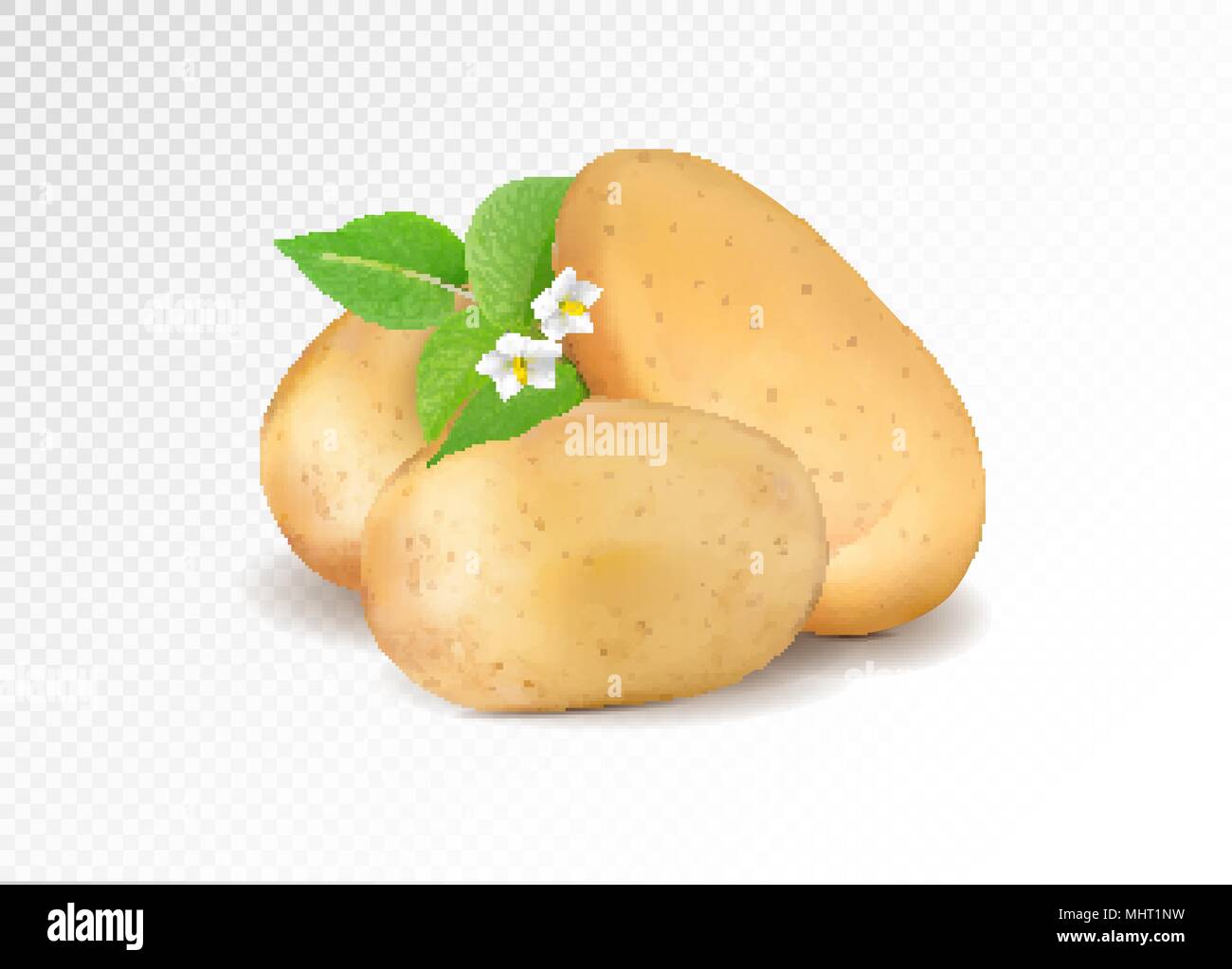 Realisticpotatoes hi-res stock photography and images - Alamy