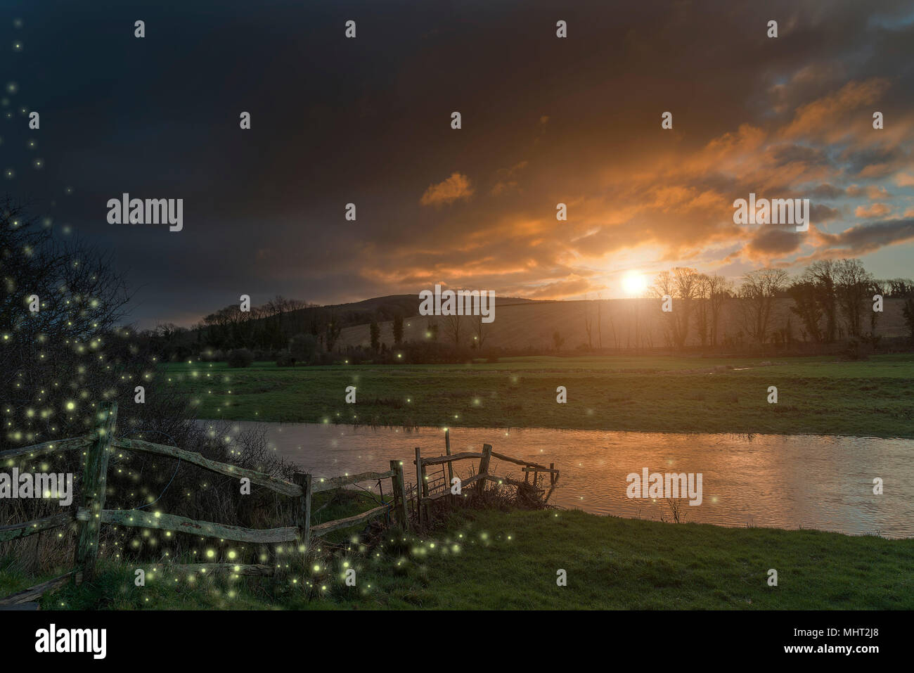 Fireflies At Dusk