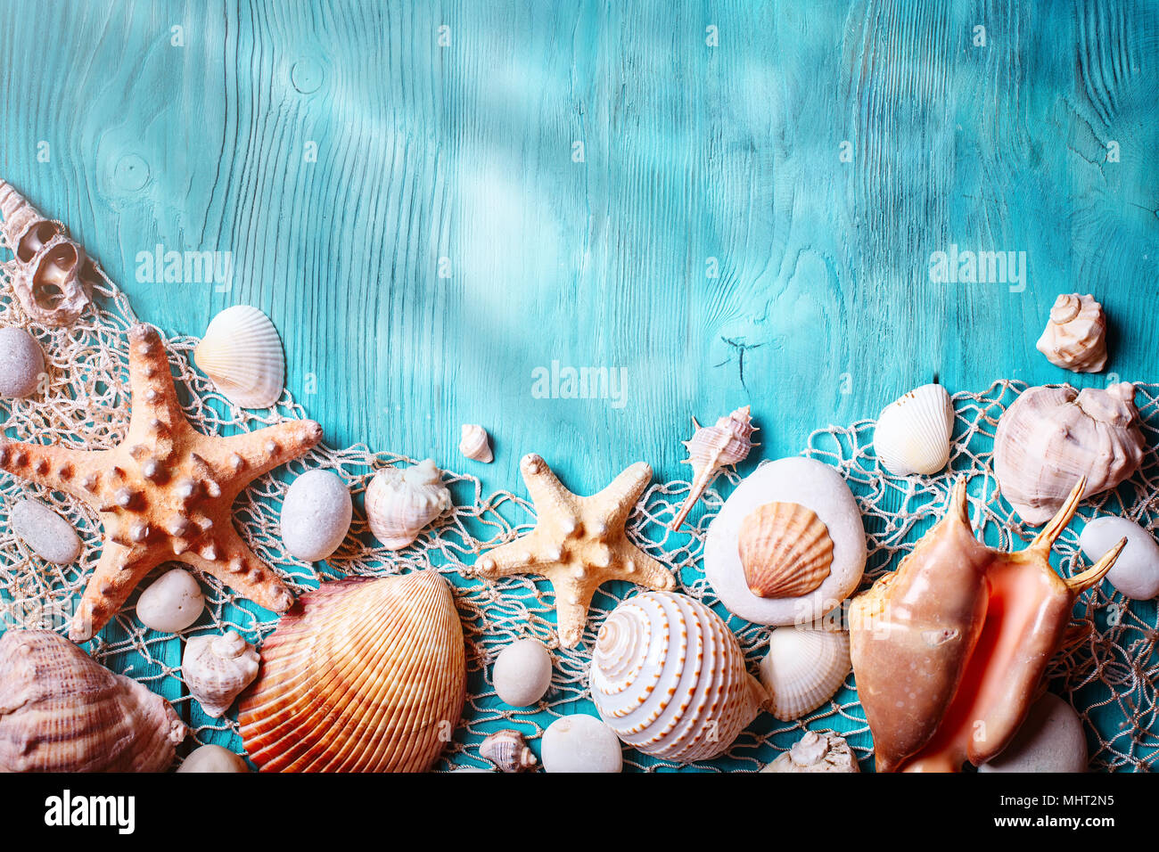 Blue Seashell Wallpaper