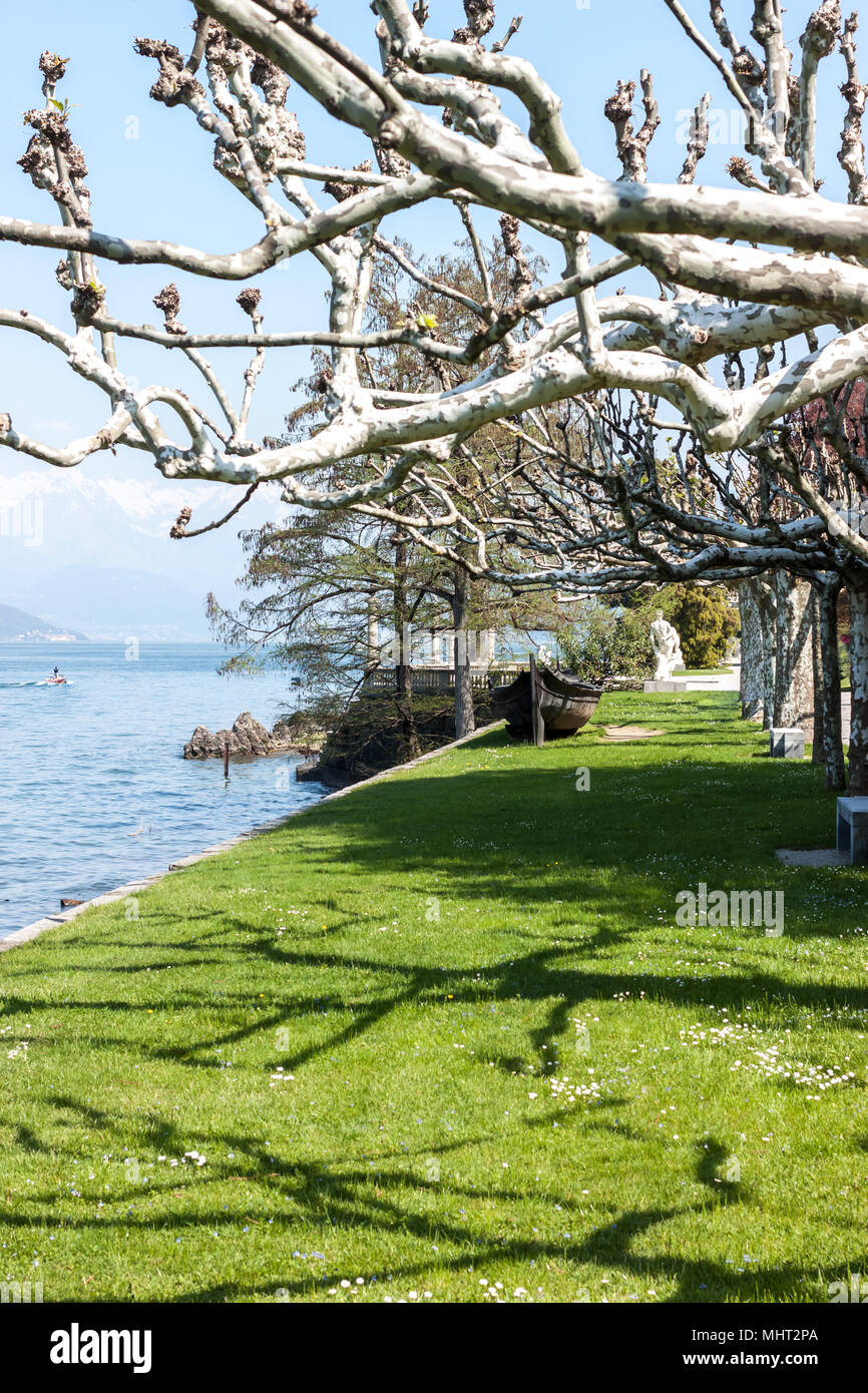 beautiful park along lake side Stock Photo - Alamy