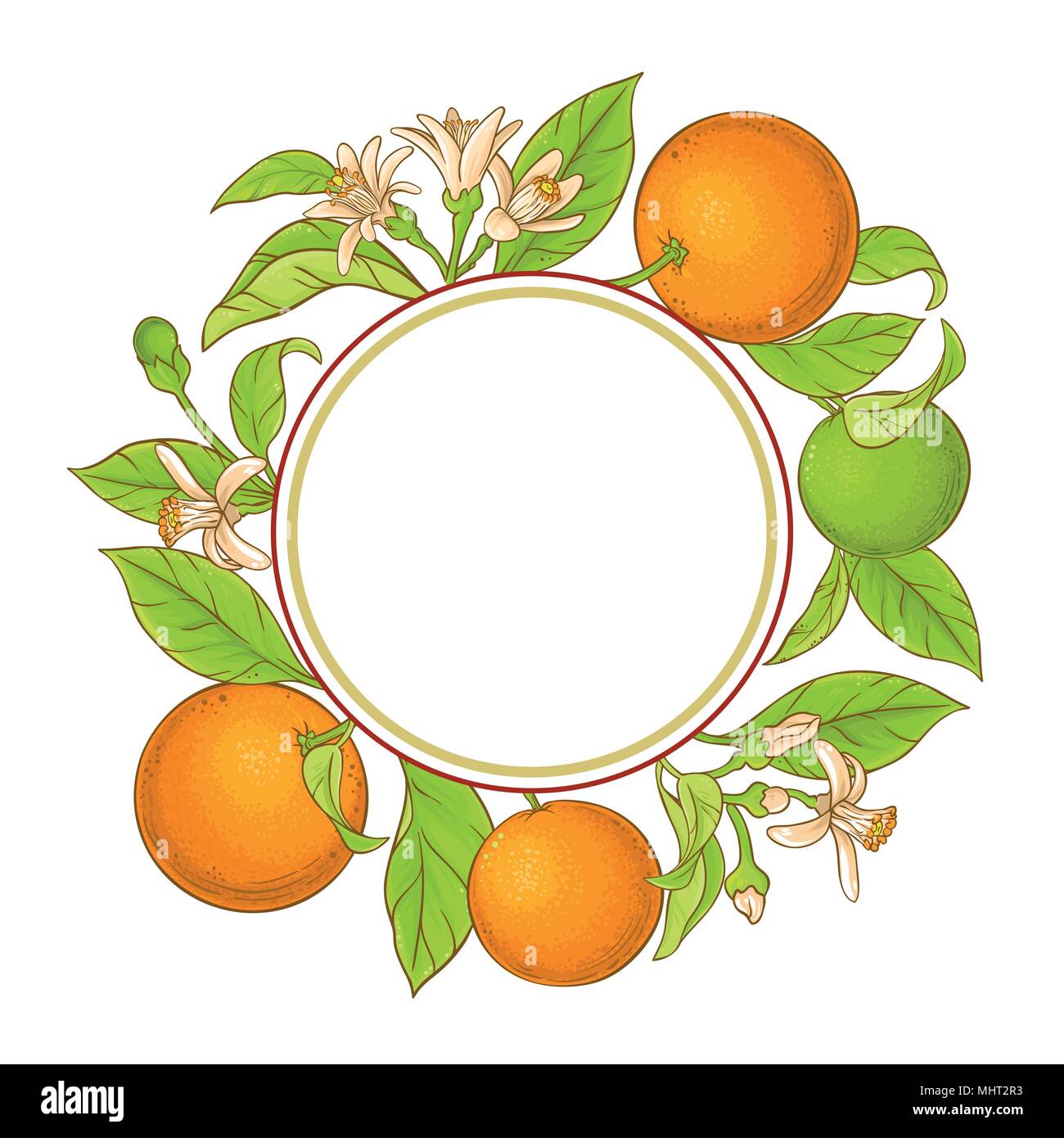 orange branch vector frame on white background Stock Vector Image & Art ...