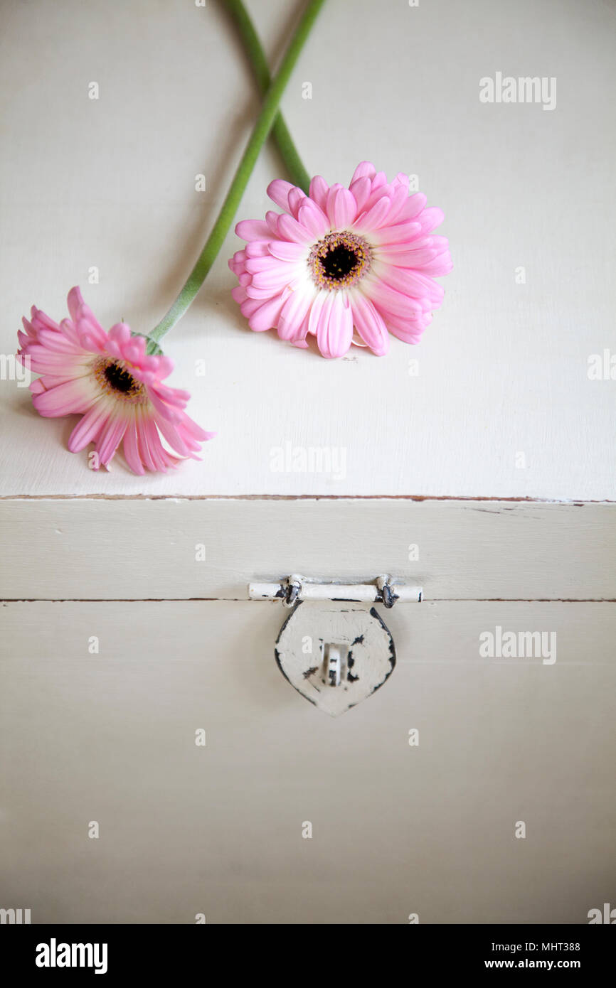 Flowers chest hi-res stock photography and images - Alamy