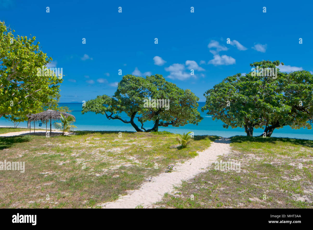 Hapai hi-res stock photography and images - Alamy