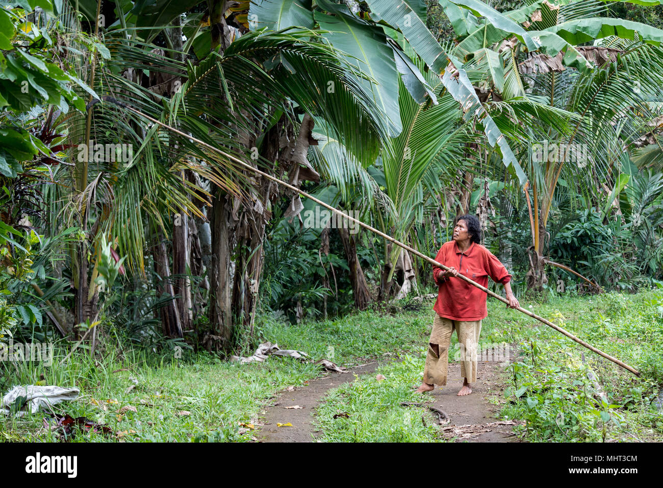 Balinese traditional living hi-res stock photography and images - Alamy