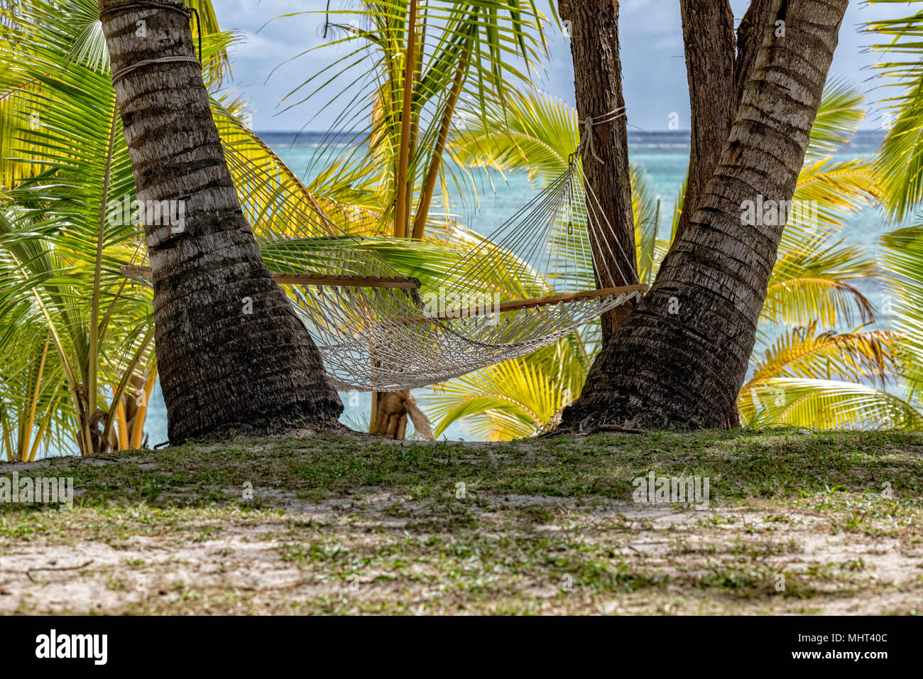 Tropical Paradise Hammock