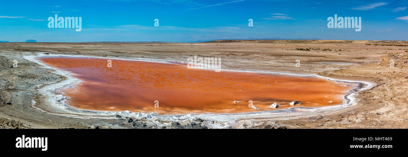 Red salt water bacteria hi-res stock photography and images - Alamy