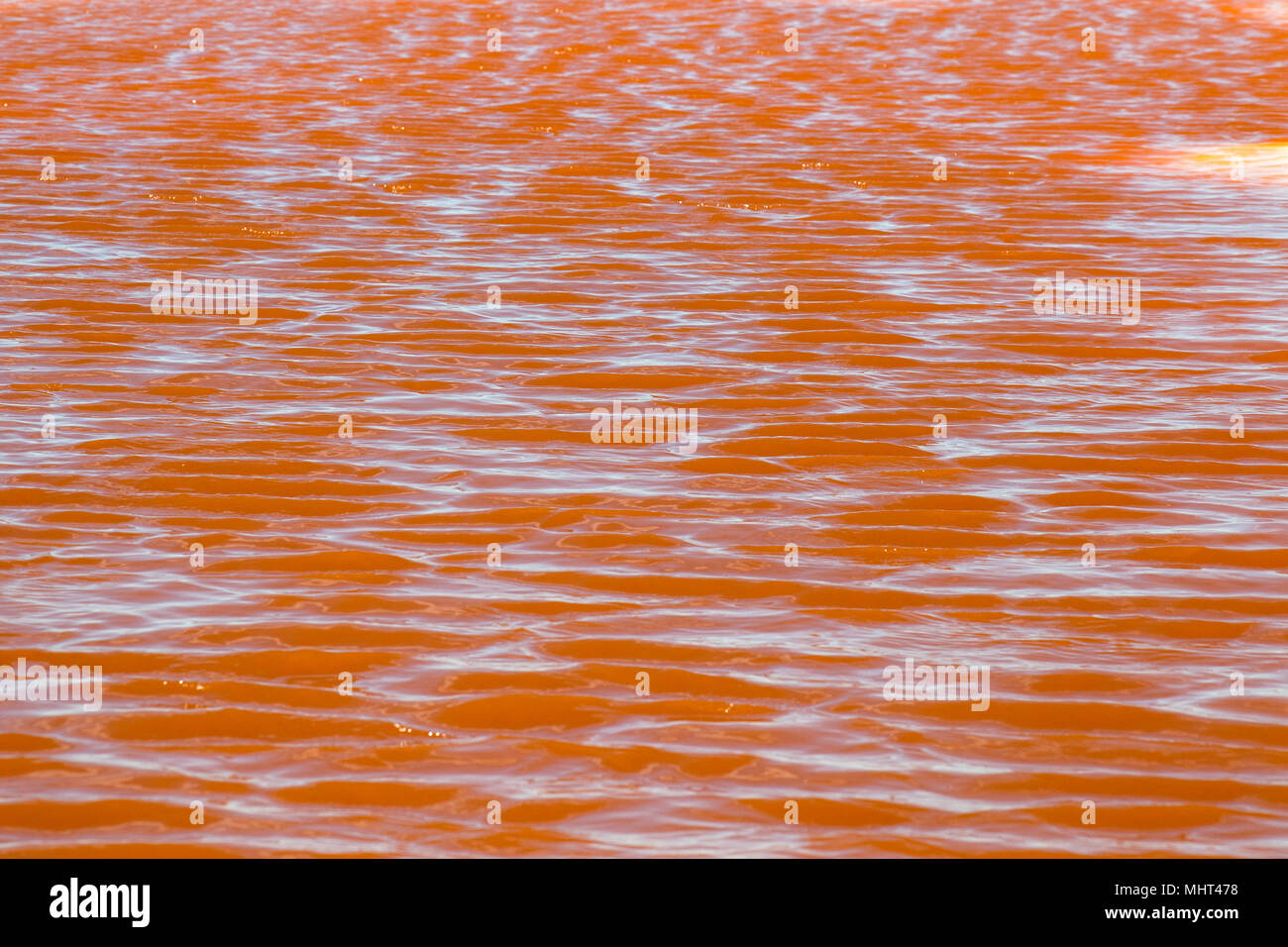 Red saline bacteria water lake pool Stock Photo - Alamy