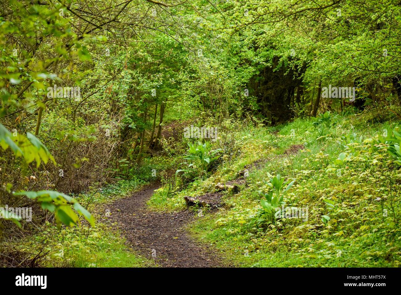 Beckford Nature Reserve High Resolution Stock Photography and Images ...